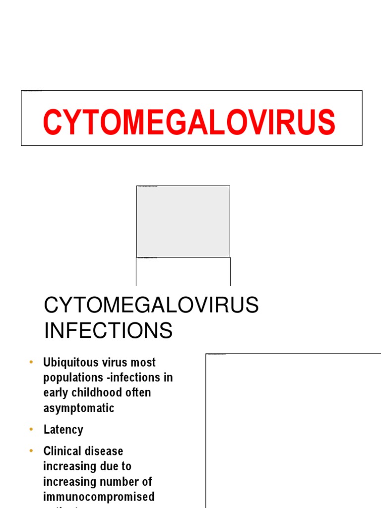 Cytomegalovirus | PDF | Infection | Virus