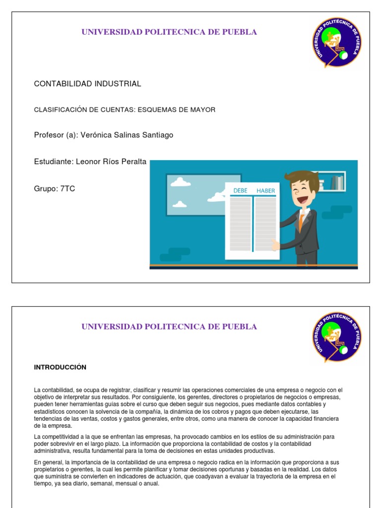 Esquema de Mayor | PDF | Contabilidad | Contabilidad y Auditoria