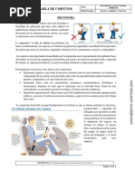 Indice Del Dossier de Seguridad SST | PDF