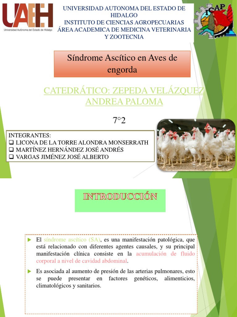 Ascitis Final | PDF | Aves | Alimentos