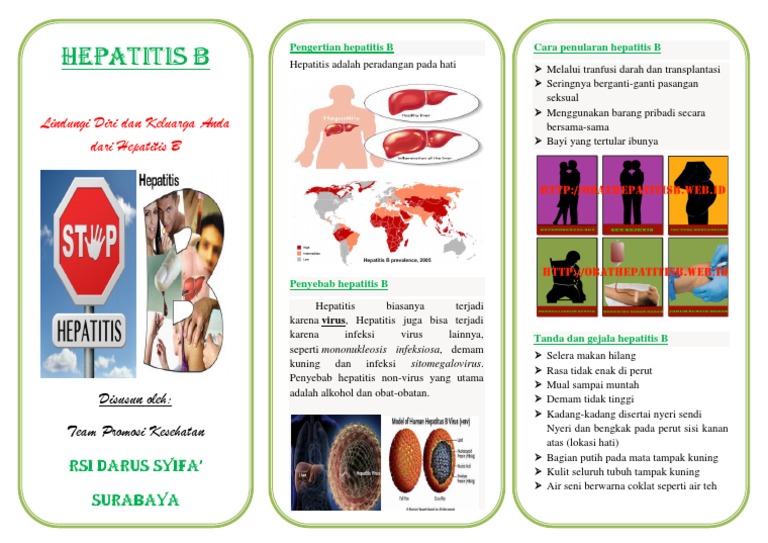 Leaflet Hepatitis 1 | PDF
