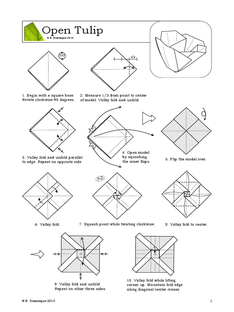 Open Tulip Diagram 2013 | Teaching Mathematics | Nature