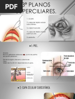 Region Superciliar ANATOMIA 2 FOLP | PDF | Anatomía humana | Cabeza y ...