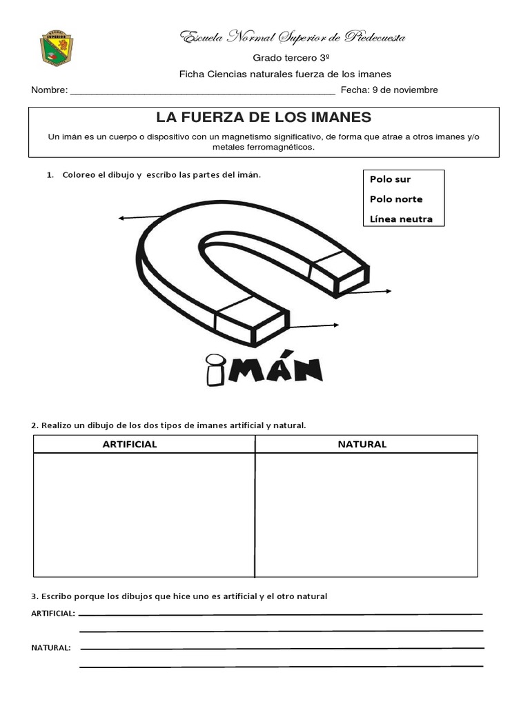 Actividad Fuerza de Imanes | PDF