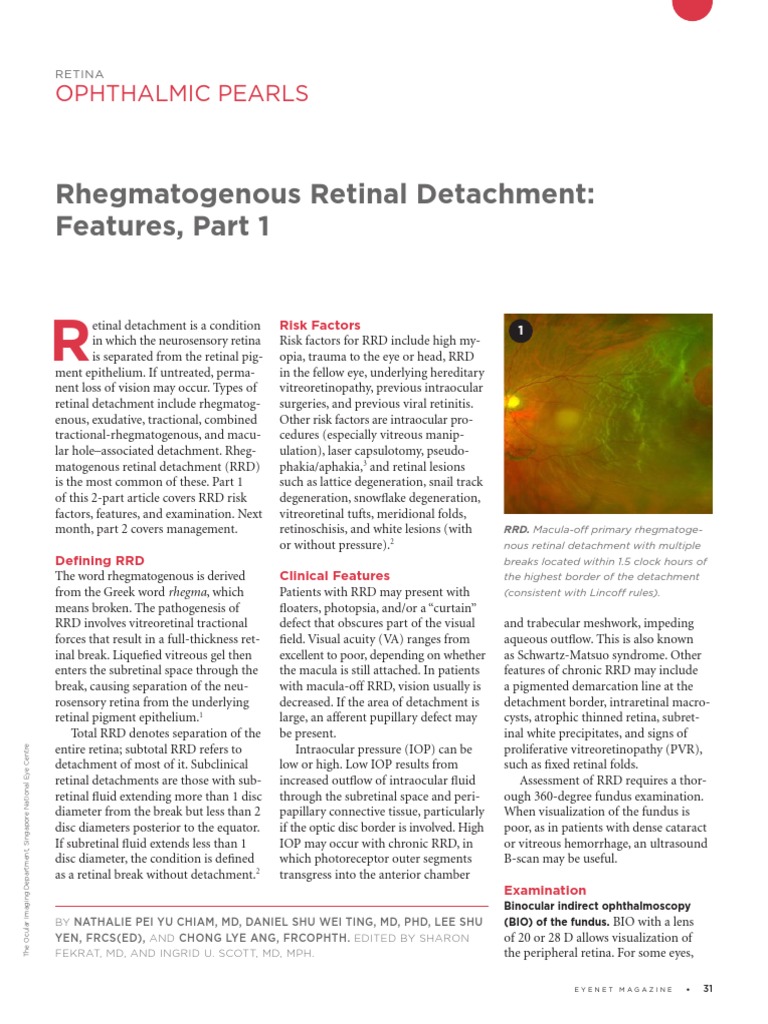 December 2018 Ophthalmic Pearls | PDF | Retina | Light