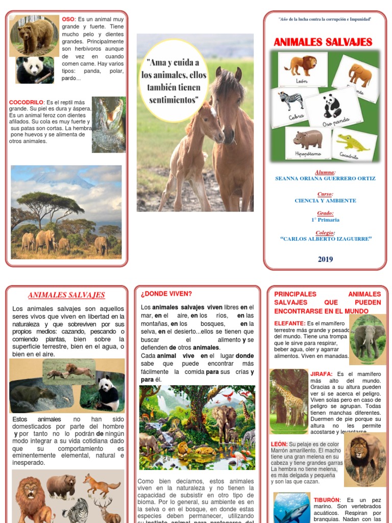 Donde Viven Los Animales Salvajes