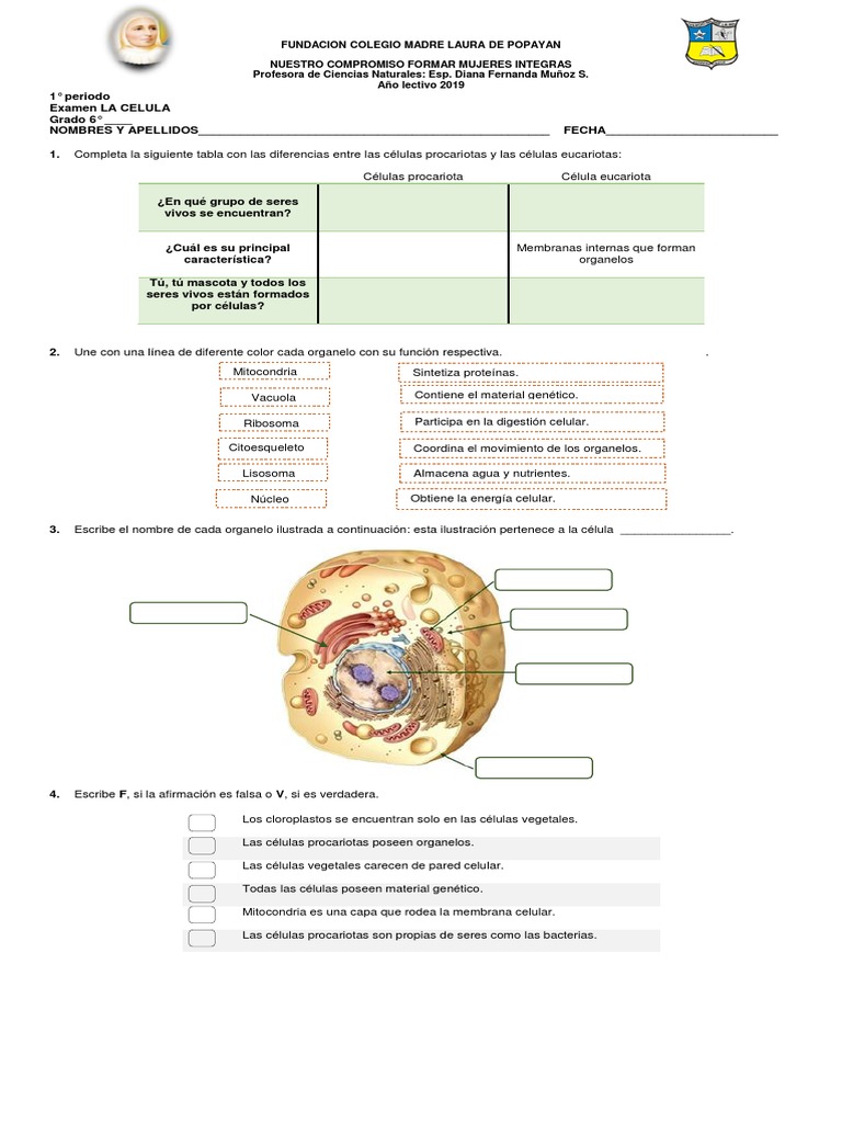 Examen 6° La Celula1 Periodo | PDF | Biología Celular) | Organismos
