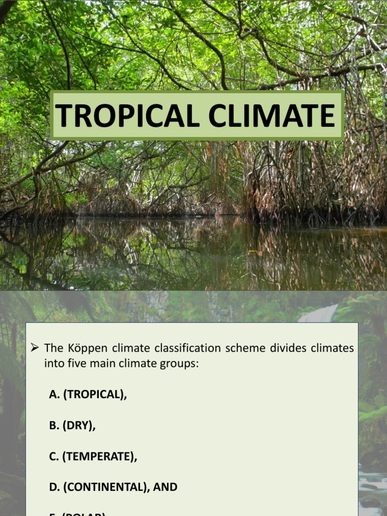 Tropical Climate | PDF | Climate | Rain