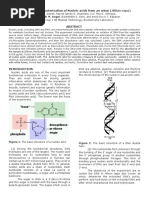 Extraction of DNA onions | PDF | Cell (Biology) | Cell Nucleus