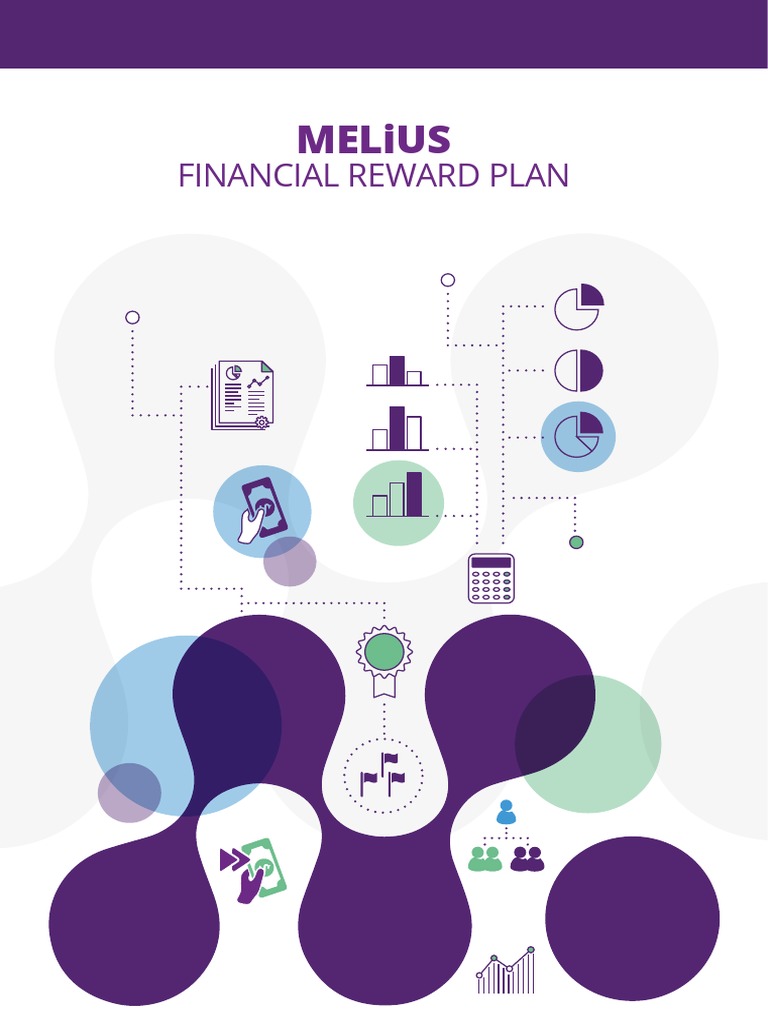 Financial Rewards Plan - EN | PDF | Subscription Business Model | Multi ...