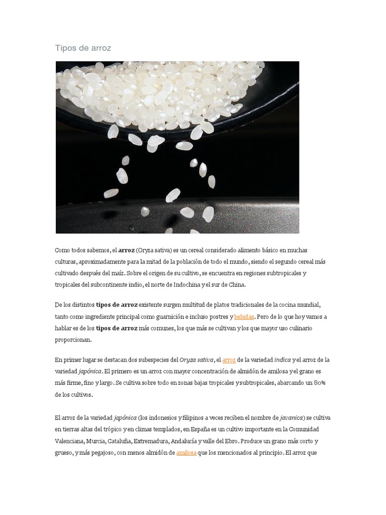 Tipos de arroz y su uso culinario | PDF | Arroz | Cereales