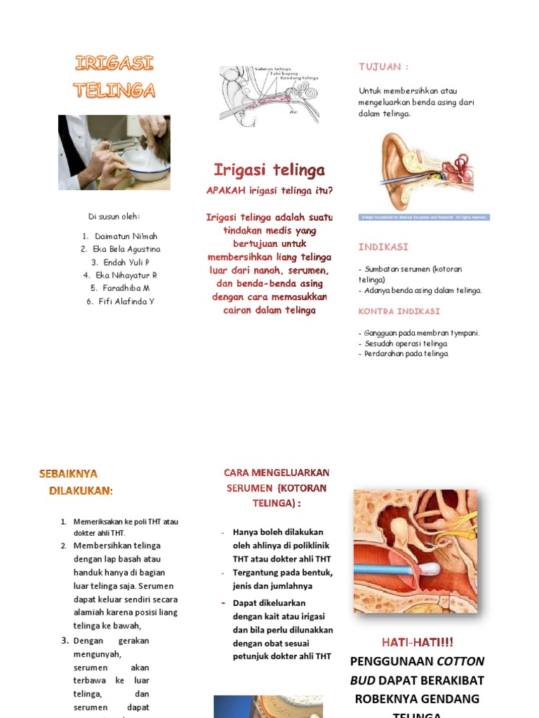 IRIGASI TELINGA LFT | PDF