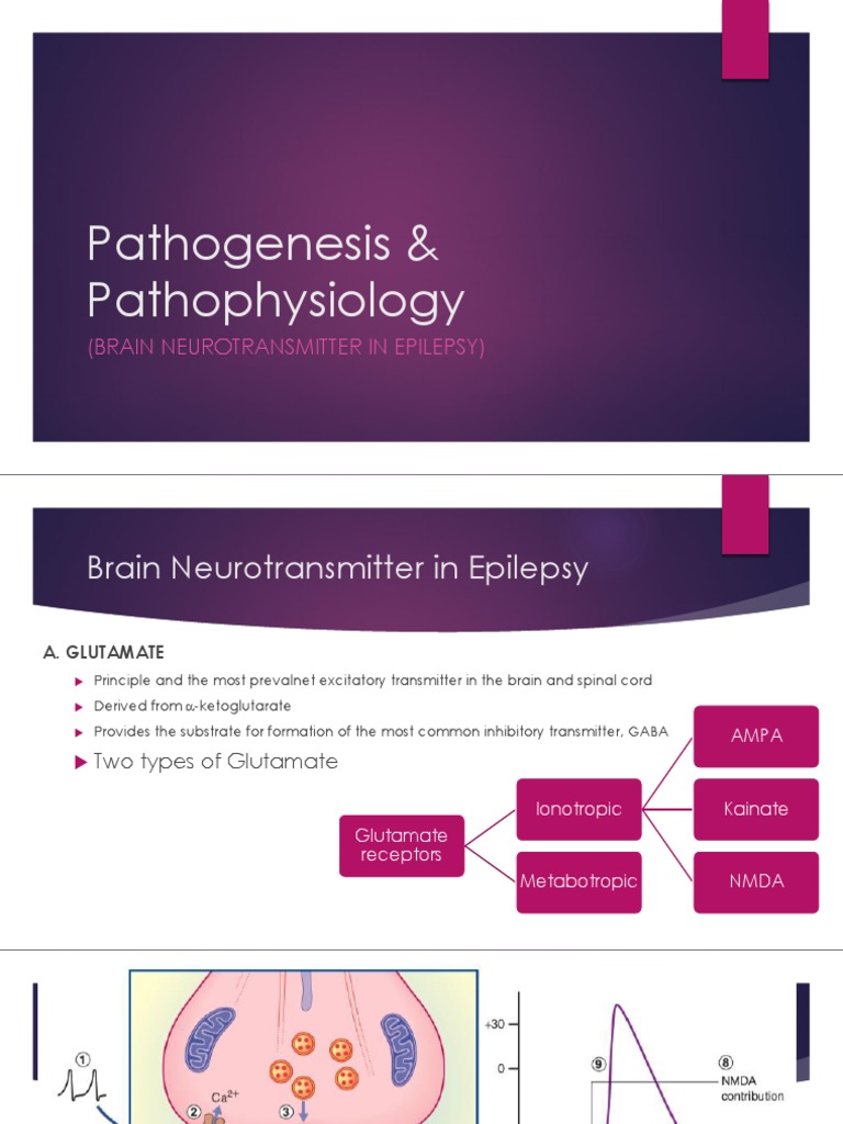 Pathophysiology of Epilepsy Explained | PDF | Neurotransmitter ...