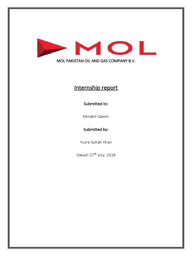 Mol Internship Report FINAL | PDF | Economies | Business