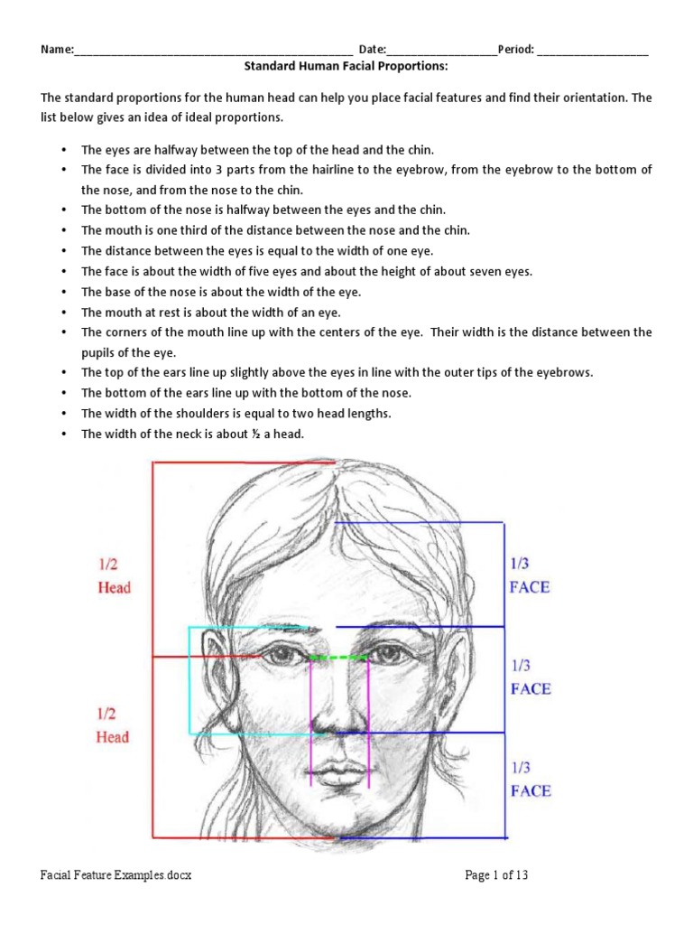 Drawing Face Proportions Handout