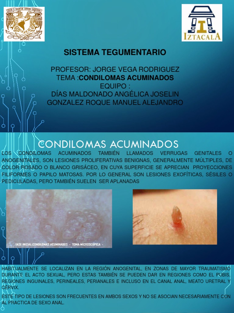 Condilomas Acuminados: Tipos y Tratamiento | PDF | Especialidades ...