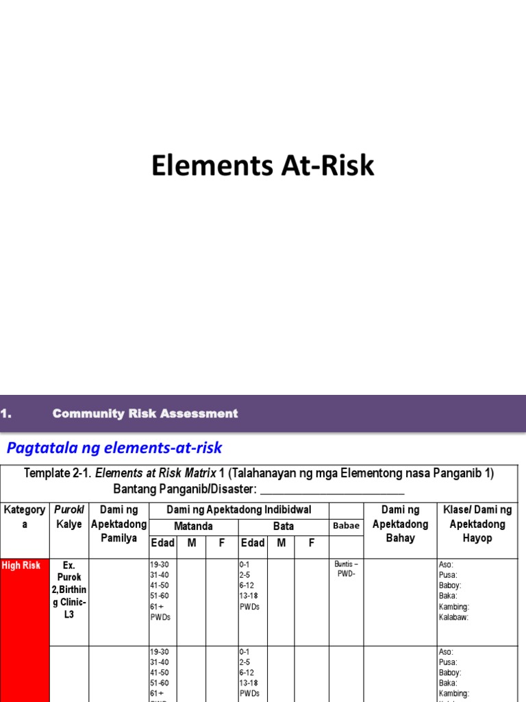 Elements at Risk | PDF