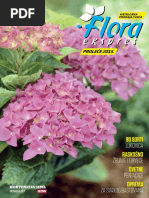 Ruze Topalovic Katalog | PDF