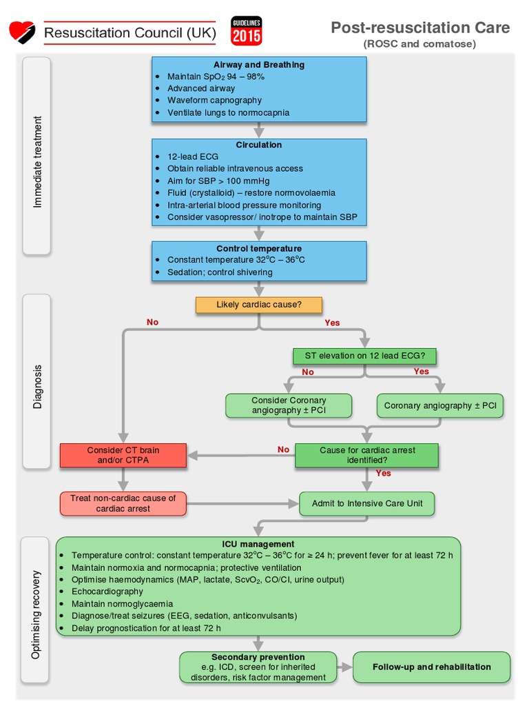 Algorithm of Resuscitation Care | PDF | Cardiac Arrest | Intensive Care ...