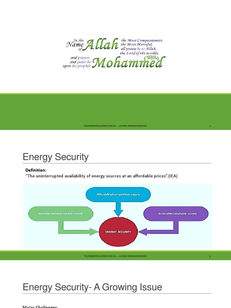 2.3 - Energy Security | PDF | Energy Conservation | International ...