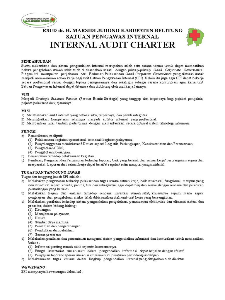 Audit Charter SPI RSMJ | PDF