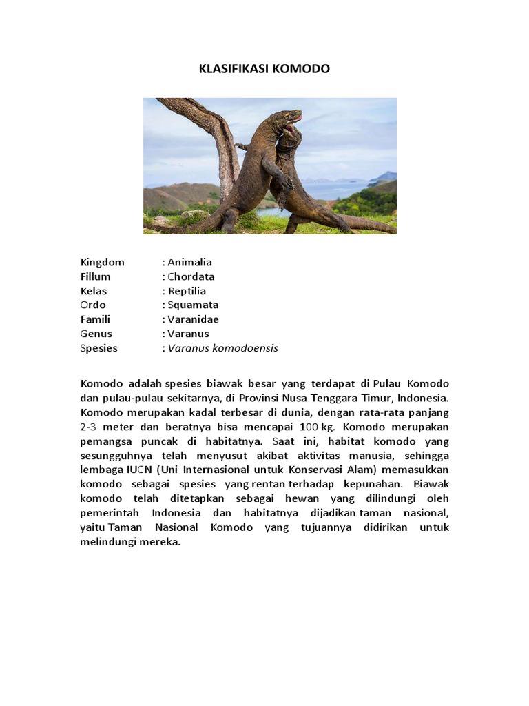 Klasifikasi Komodo | PDF