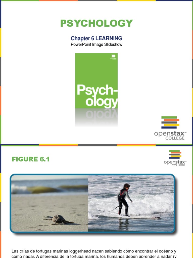 Chapter 6 Power Point | PDF | Acción (filosofía) | Behaviorismo