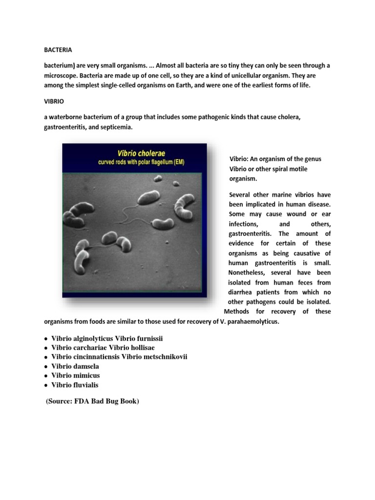 Bacteria Pdf Bacteria Organisms