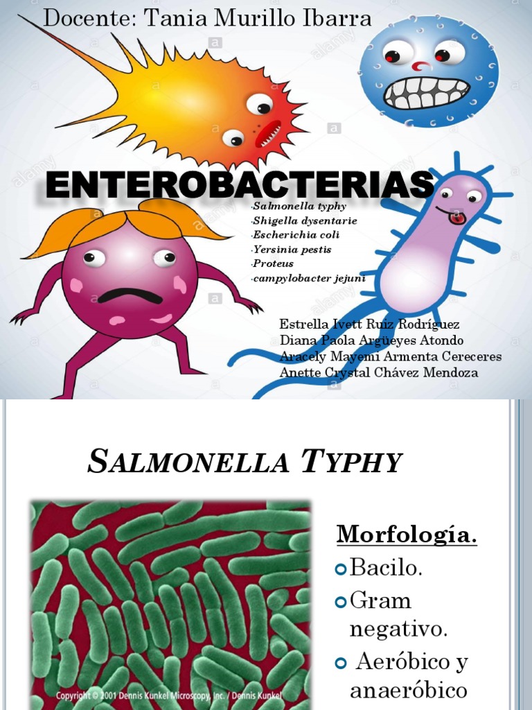 Enterobacterias | PDF | Heces | Diarrea