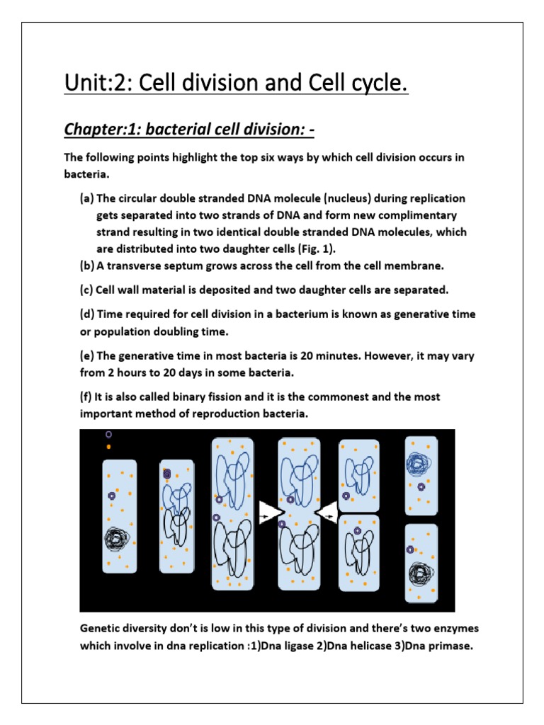 Unit:2: Cell Division and Cell Cycle | PDF | Meiosis | Mitosis
