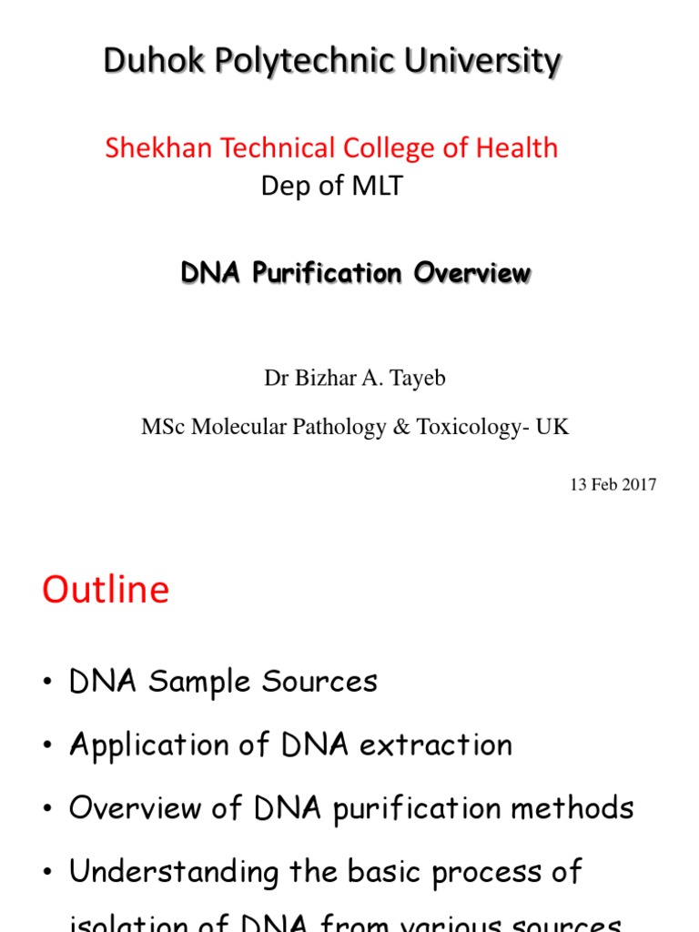 Duhok Polytechnic University: Shekhan Technical College of Health | PDF ...