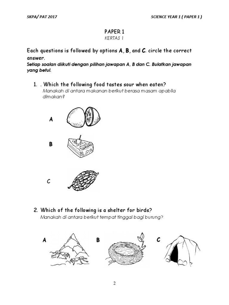 Kertas Ujian Sains Tahun 1 | PDF | Landscape | Botany