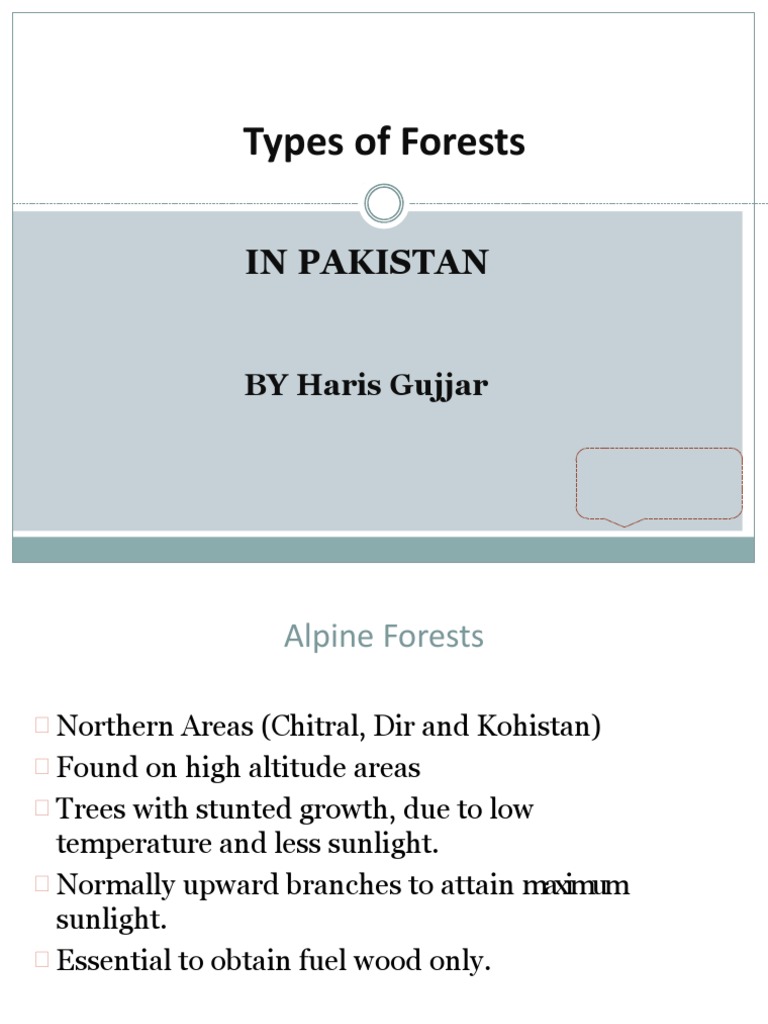 Types of Forests in Pakistan | PDF | Technology & Engineering
