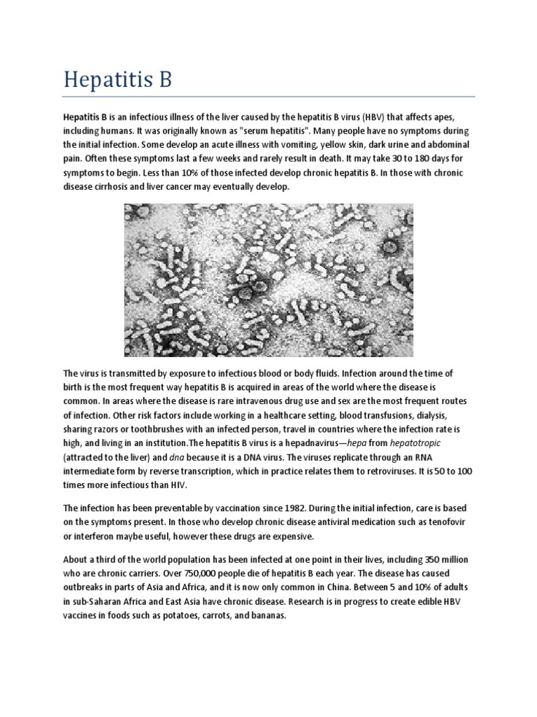 Hepatitis B | PDF | Hepatitis B | Hepatitis
