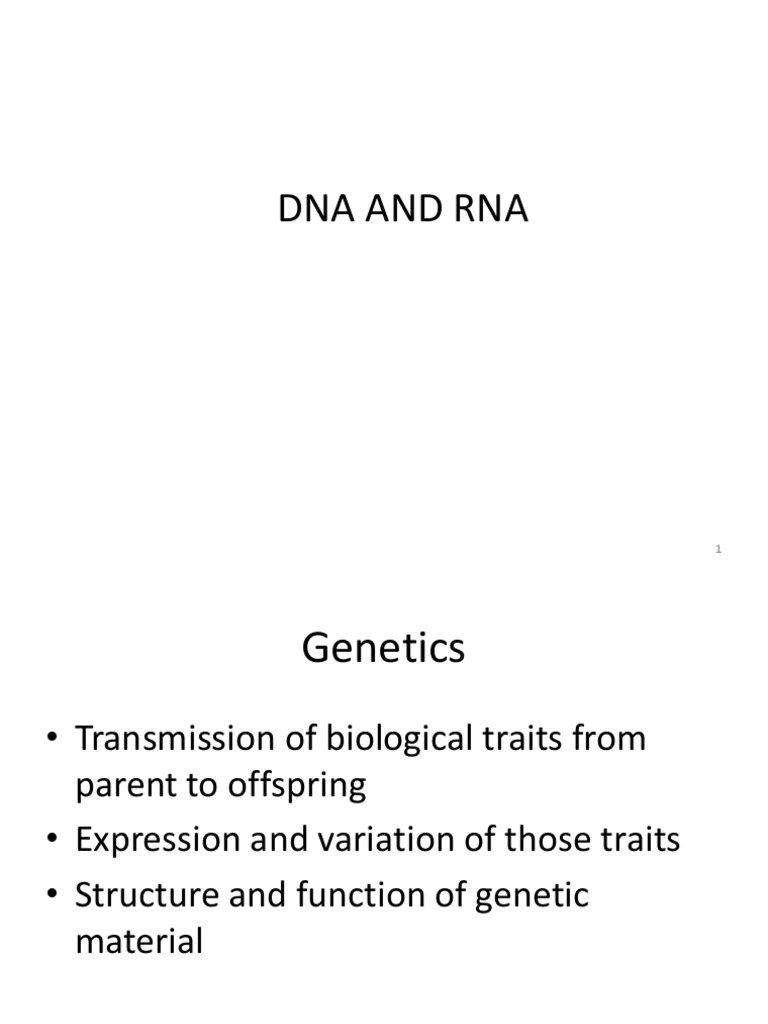 DNA, RNA, and the Flow of Genetic Information: A Comprehensive Overview ...