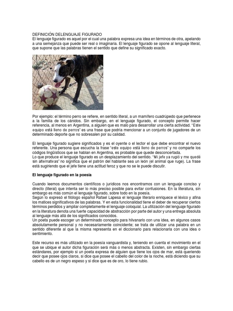 Lenguaje Figurado y Figuras Literarias | PDF | Metáfora | Poesía