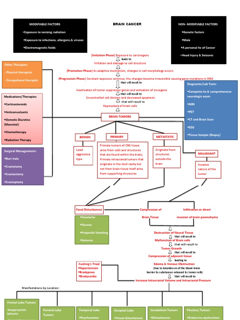 Brain Cancer Concept Map | PDF | Brain Tumor | Cancer