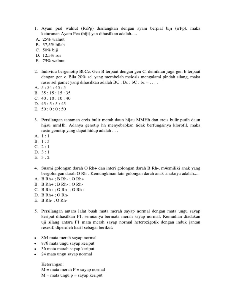 Ayam Pial Walnut | PDF