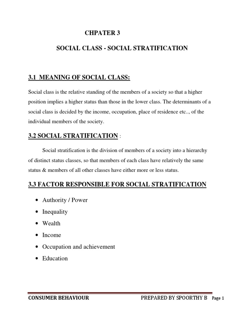 Social Class & Consumer Behavior | PDF | Social Status | Social ...
