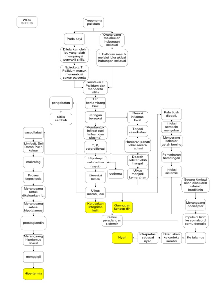 Woc Sifilis | PDF