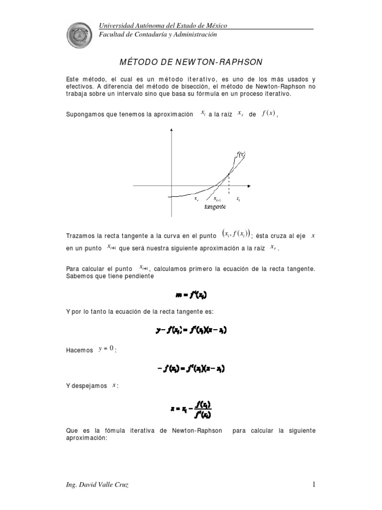Newton Raphson PDF | PDF