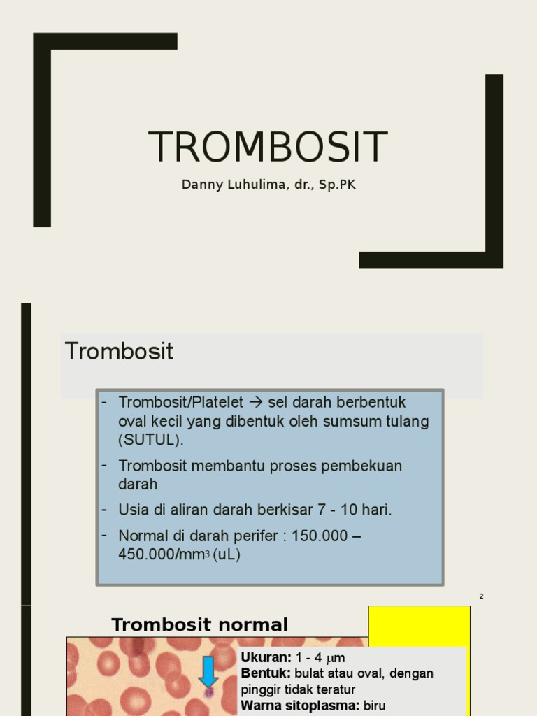 Trombosit FK UKI | PDF