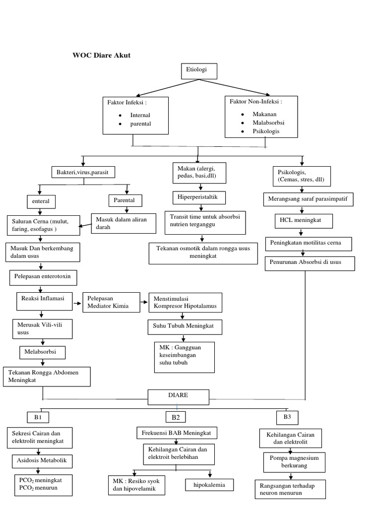 WOC Diare Akut | PDF