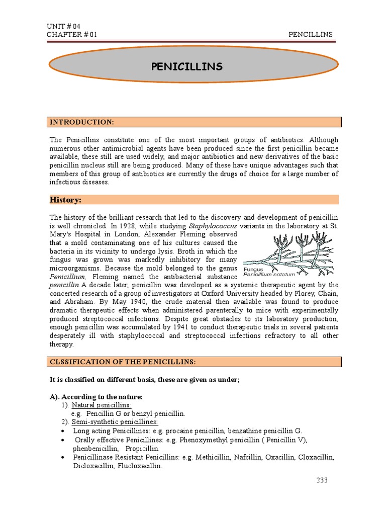 Essential Guide to Penicillins | PDF | Penicillin | Cell Wall
