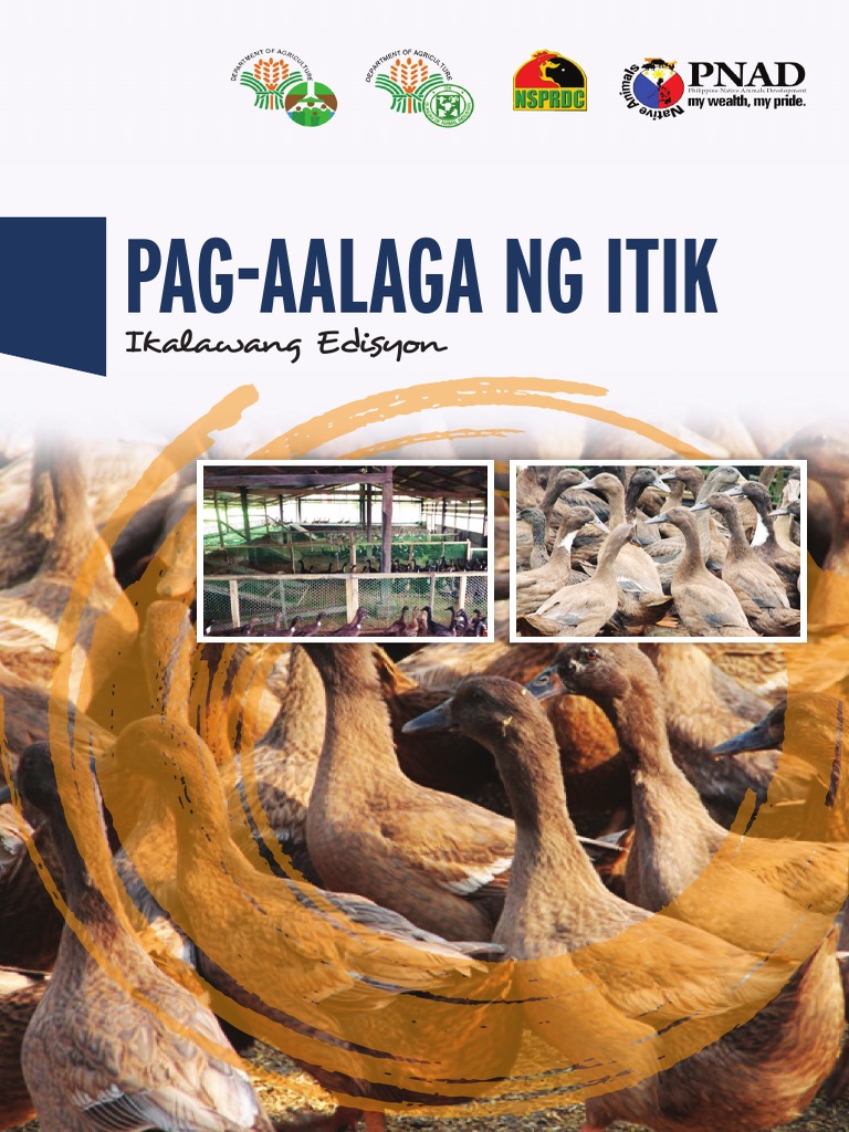 Native Na Itik | PDF