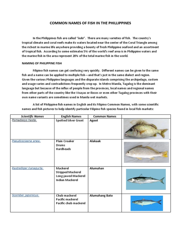 Common Names of Fish in The Phillippines | PDF | Philippines | Seafood