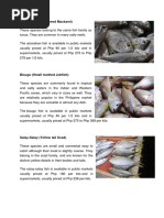 Philippine Fish Market Guide | PDF | Fish And Humans | Fish