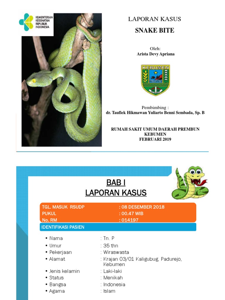 Snake Bite - PPT - Arista PDF | PDF