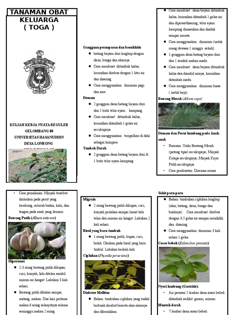 Manfaat dan Jenis Tanaman Toga | PDF