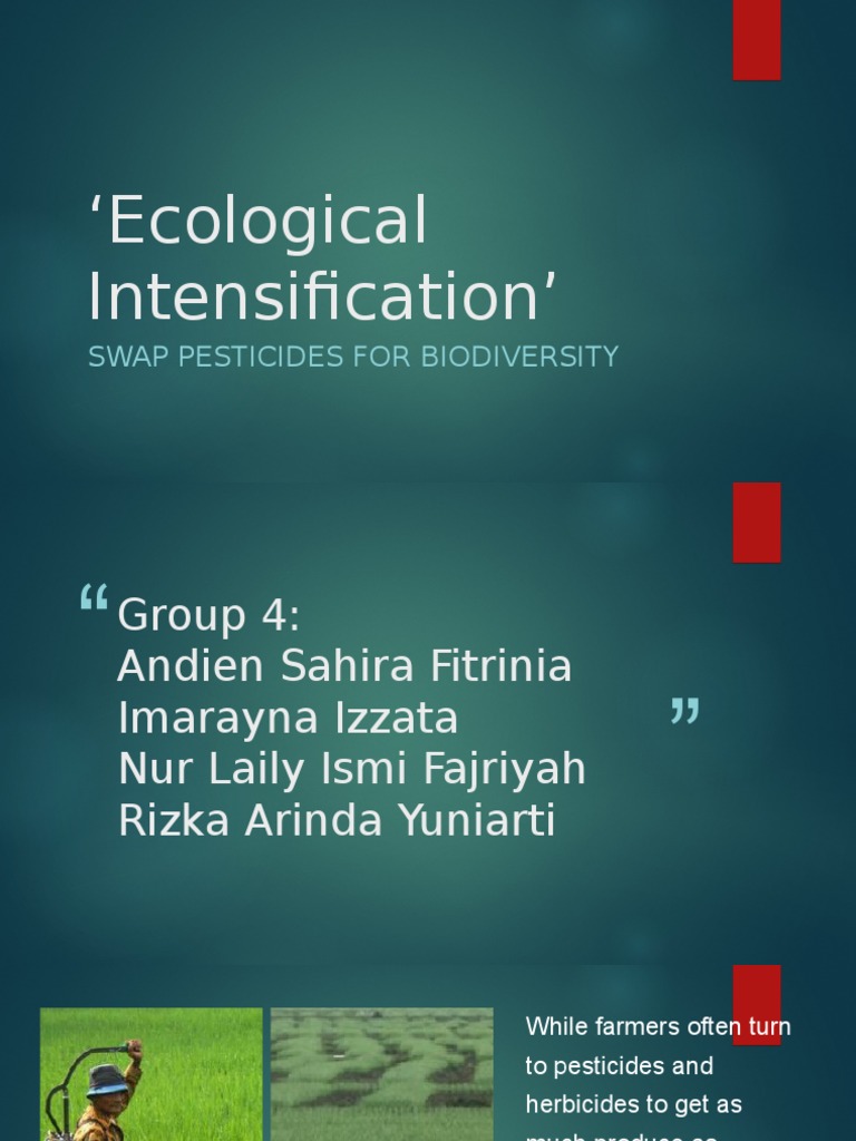 Ecological Intensification' Swaps Pesticides For Biodiversity | PDF ...
